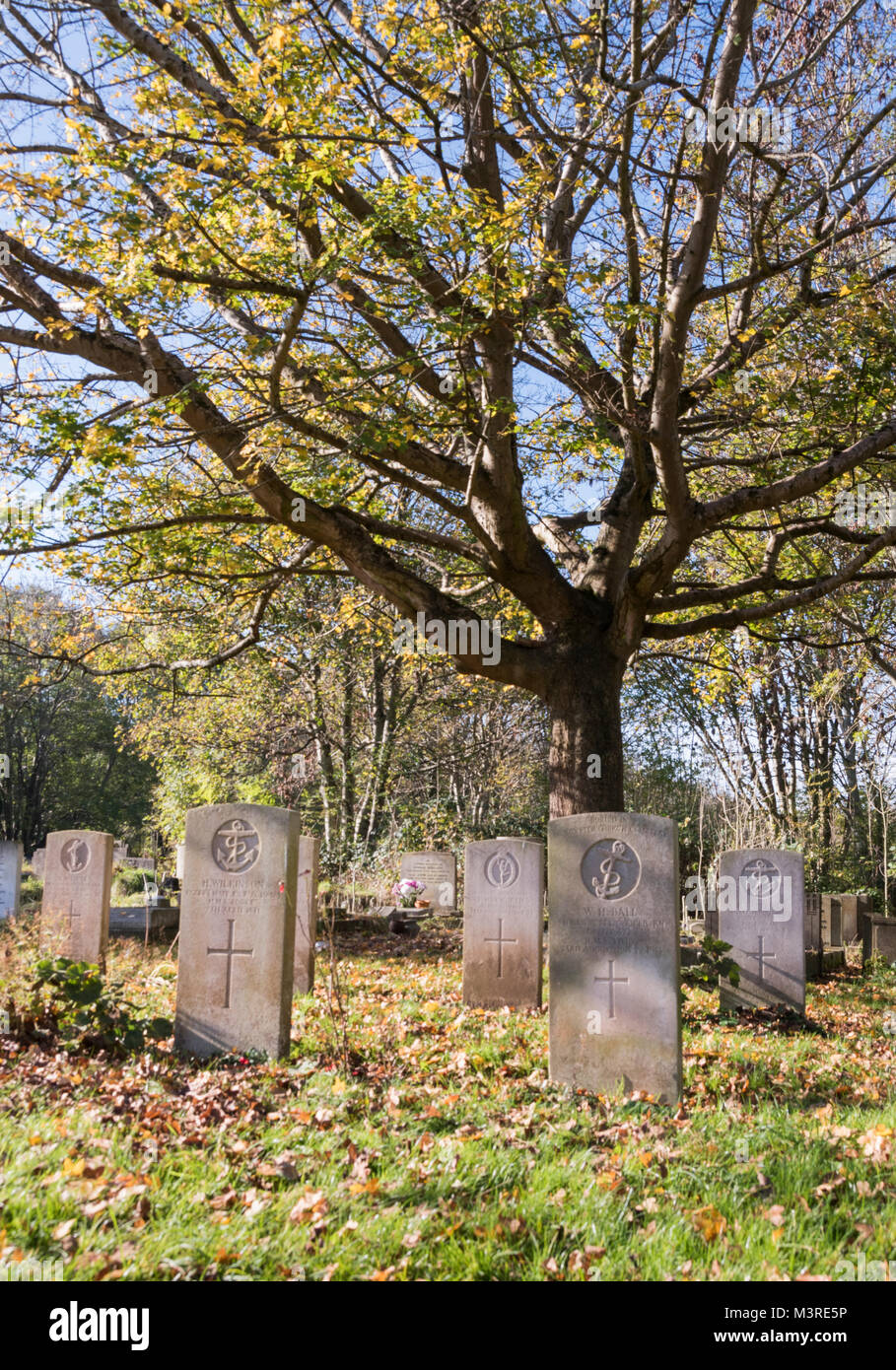 CWGC Gavestones in Arnos Vale Cemetery, Bristol Stock Photo - Alamy