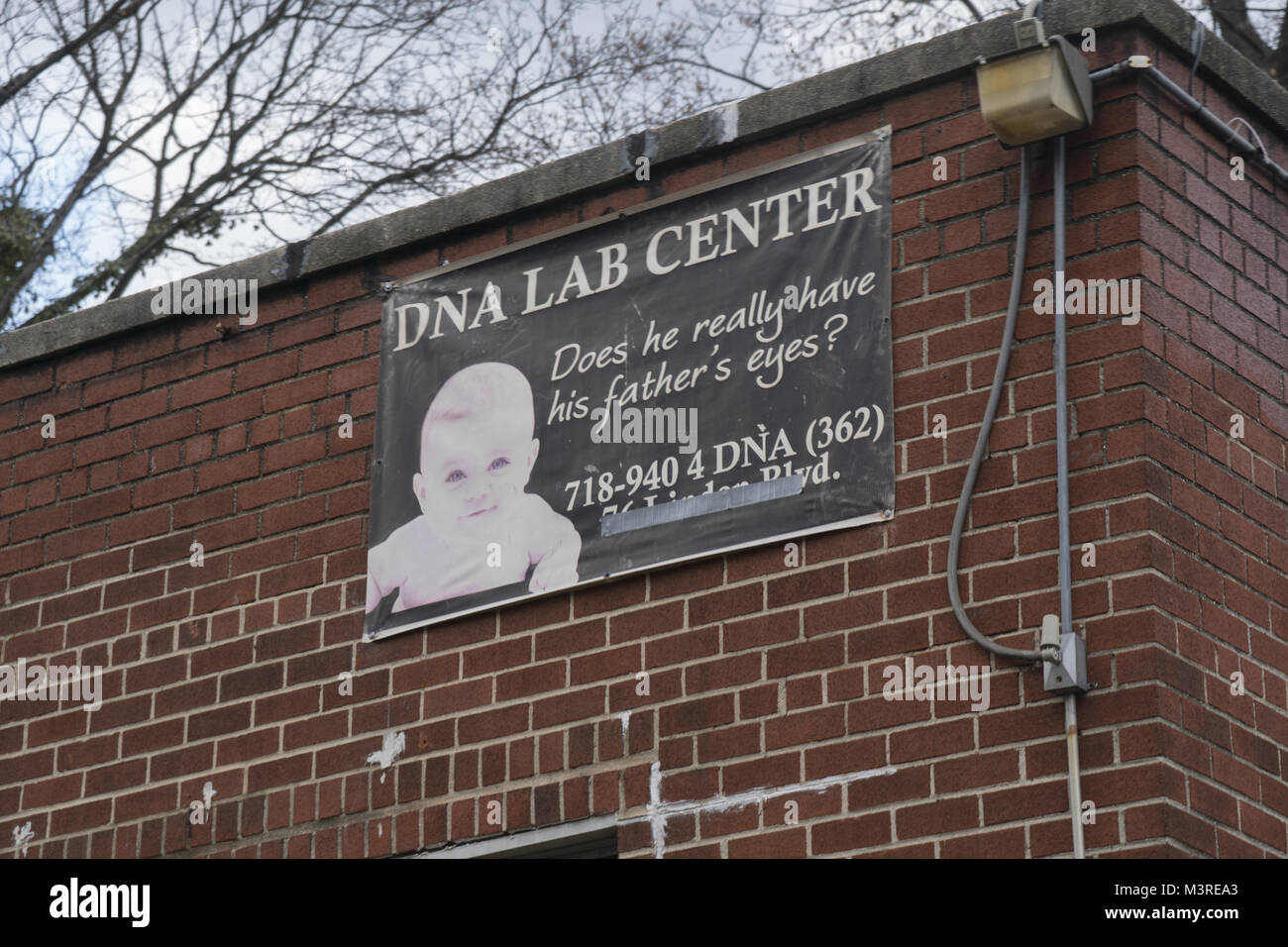 Father of genetics hi-res stock photography and images - Alamy