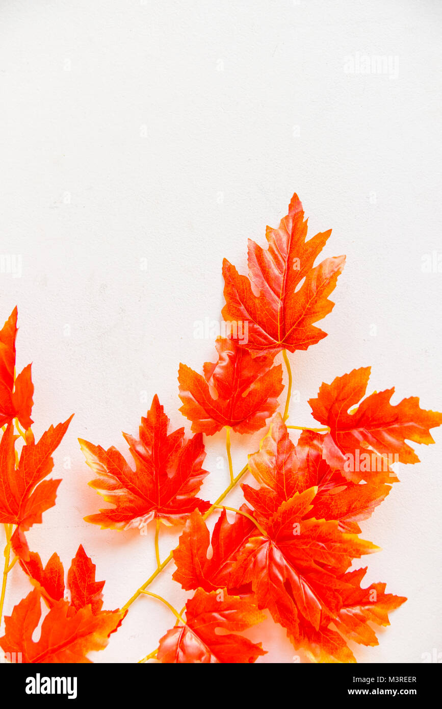 Artificial red maple leaves white background Stock Photo - Alamy