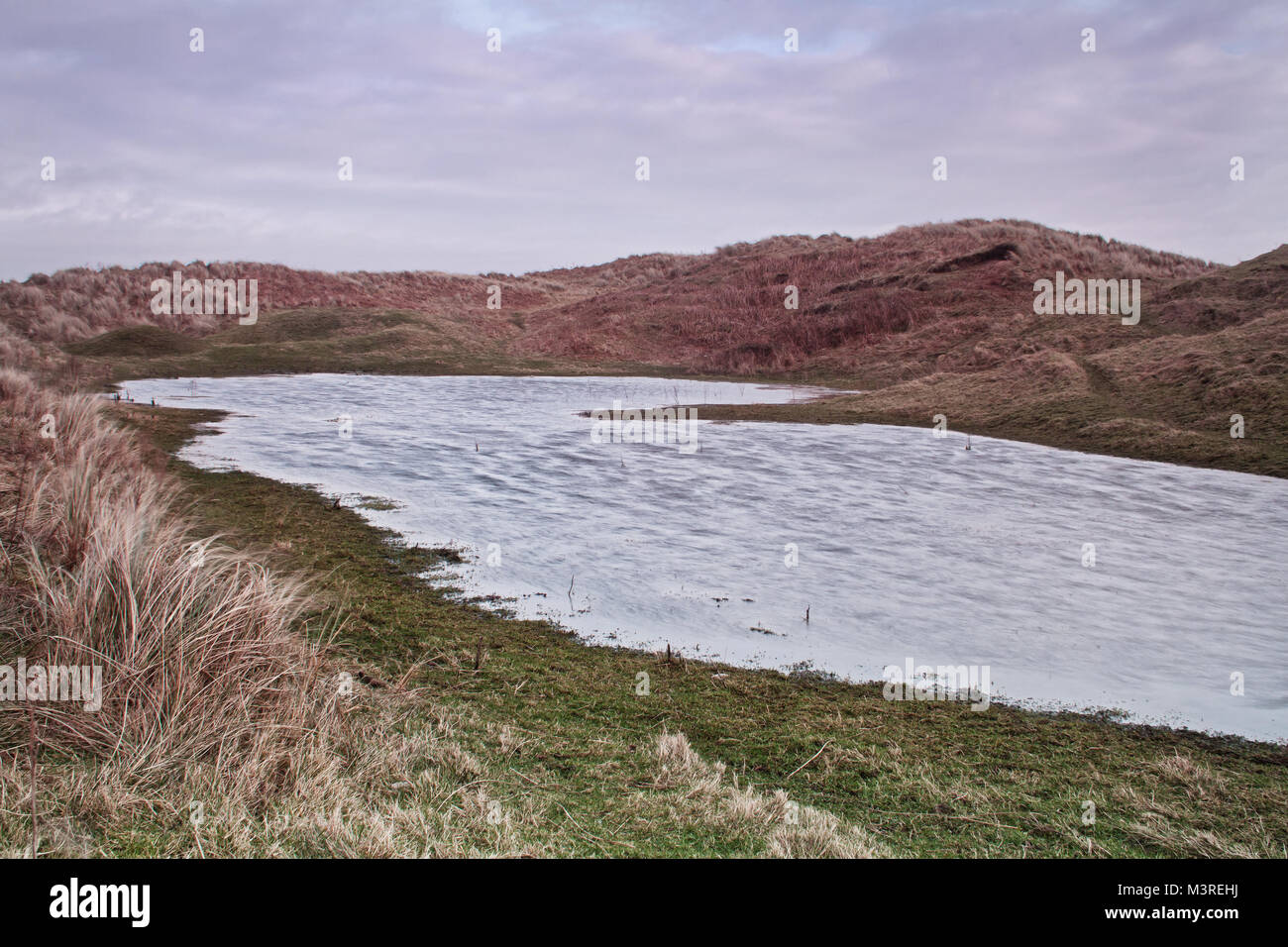 A picturesque pond on the nature reserve of South Walney, Walney Island ...