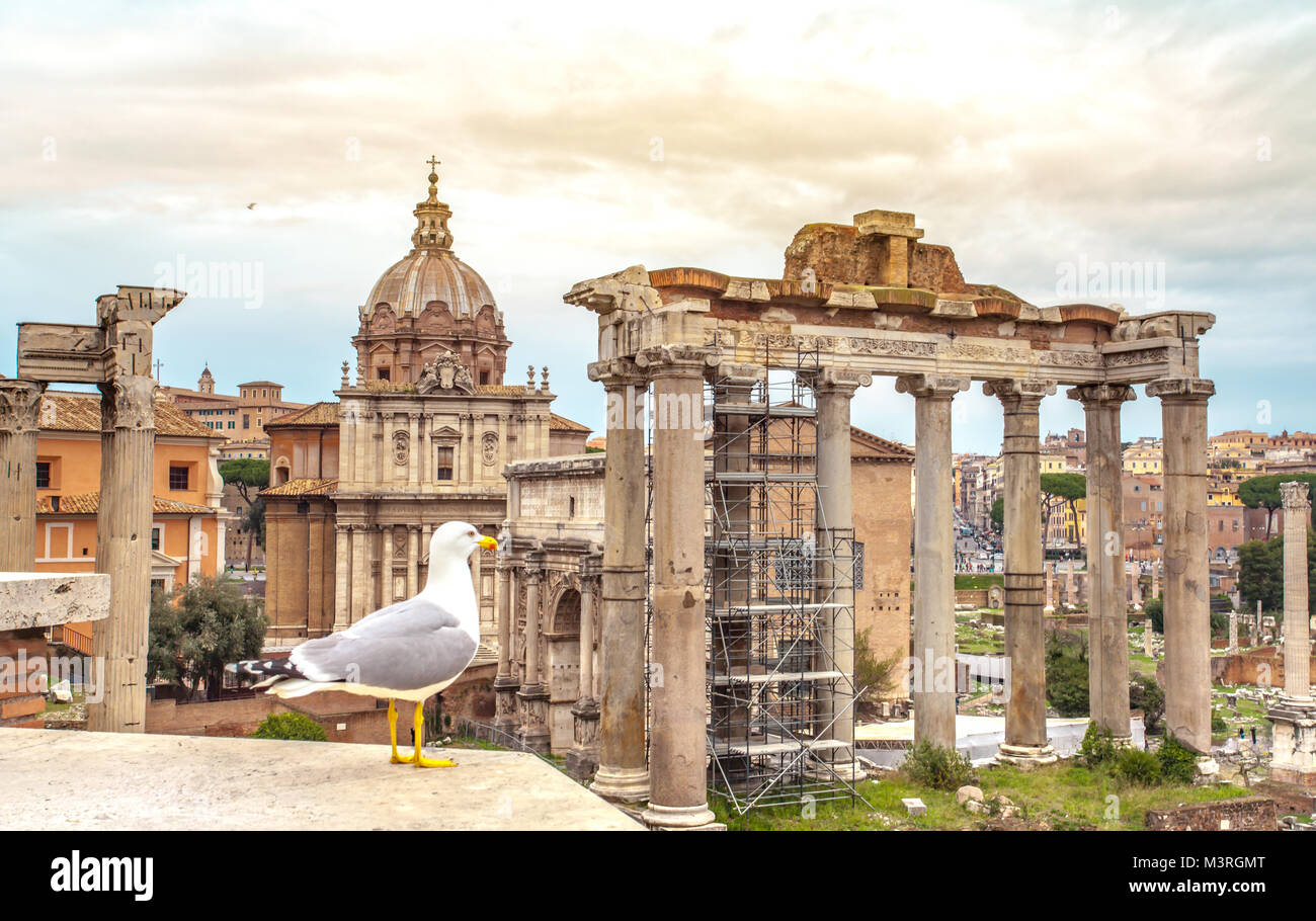 the Roman Forum ruins archaeological museum Education Architecture Art ...