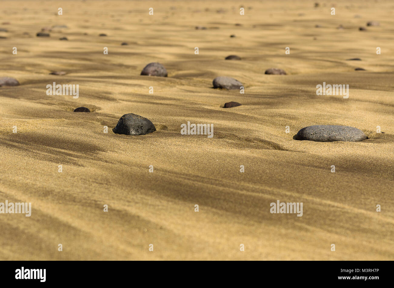 Stones at the beach Stock Photo - Alamy