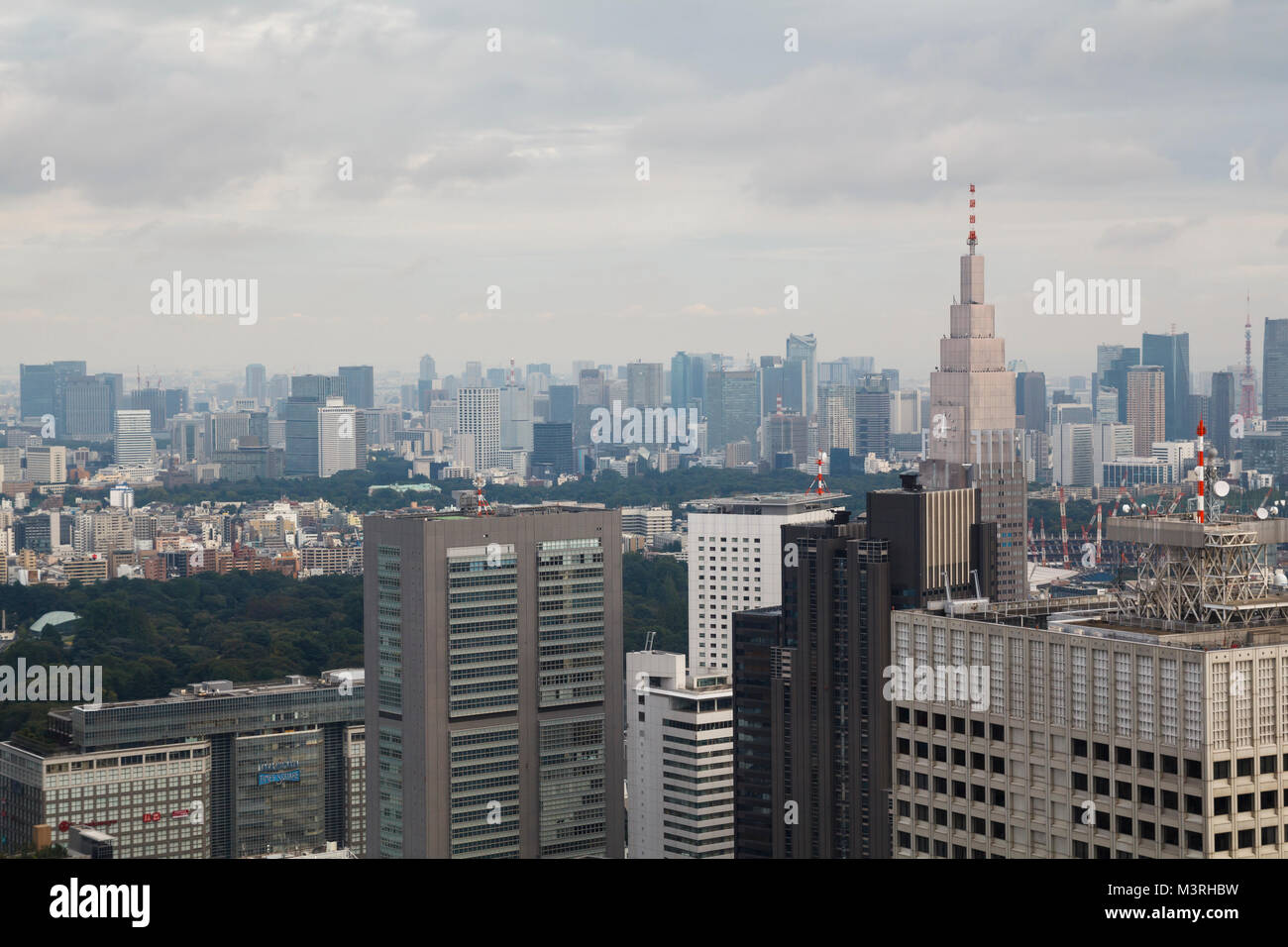 City view of Tokyo, an enormous extension of buildings and skyscrapers ...