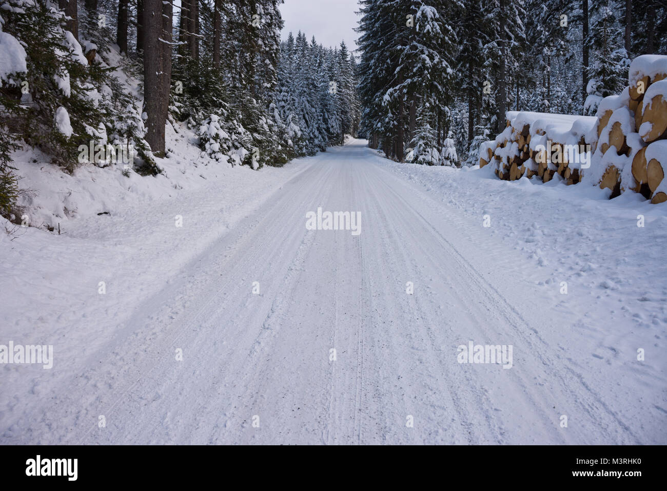 Forest road with snow surface in a wintery coniferous forest in ...