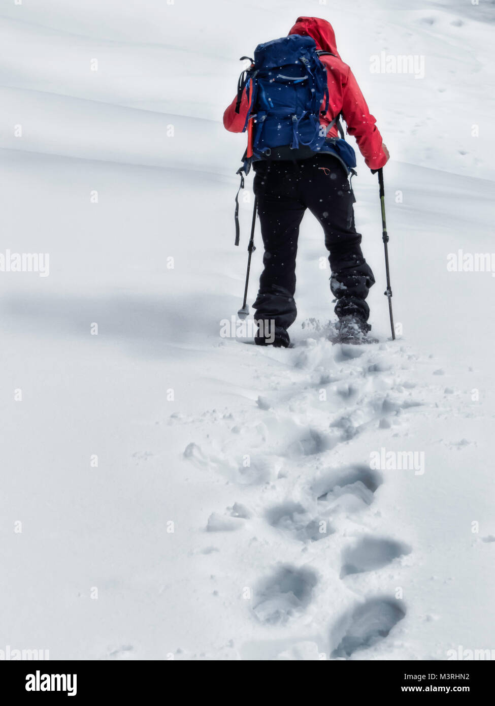 Snow trekking hi-res stock photography and images - Alamy