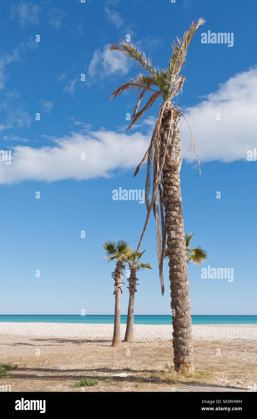 Moncofar hi-res stock photography and images - Alamy