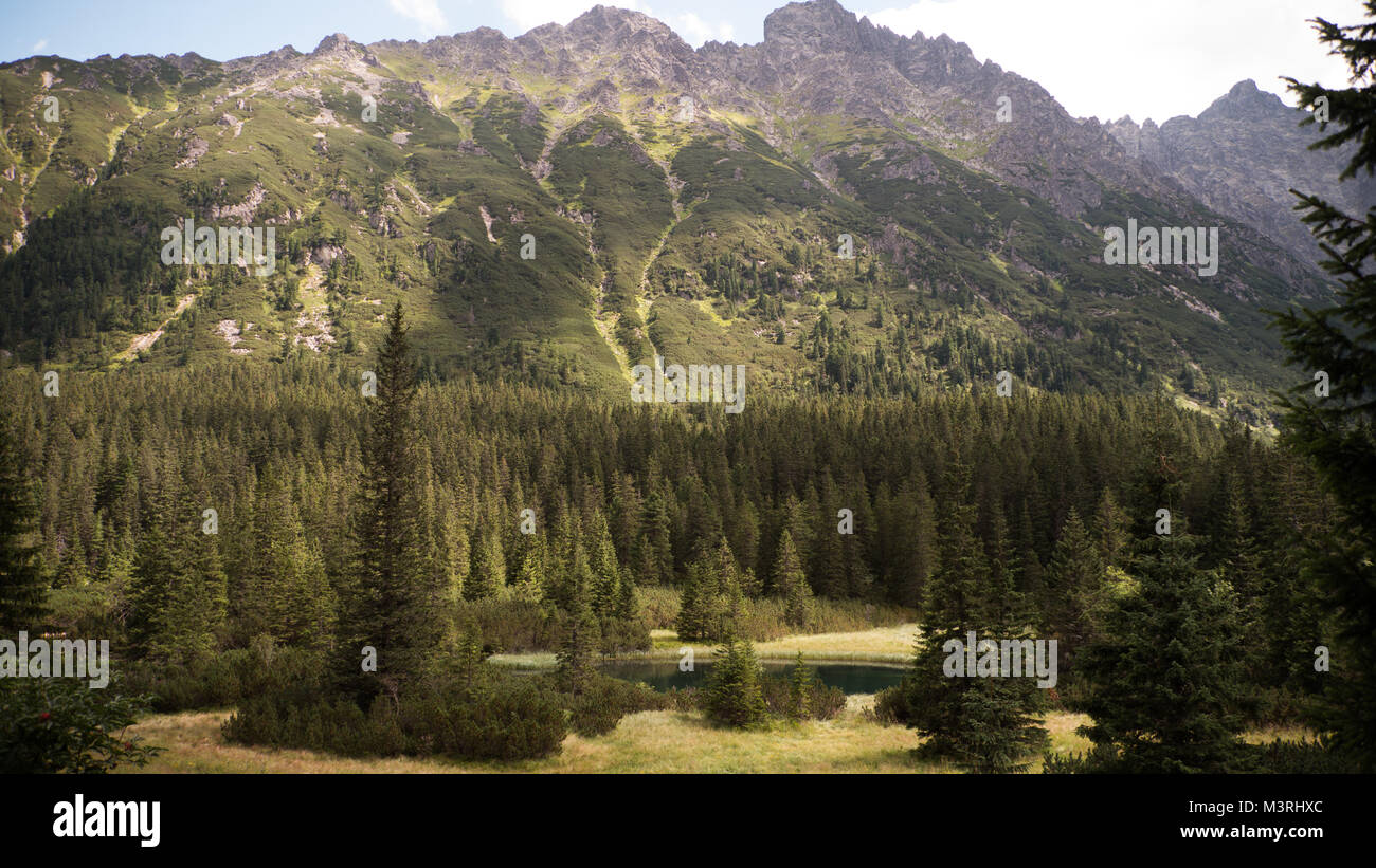Polish Tatry Tatra, crystal clear water little pond in the mountain ...