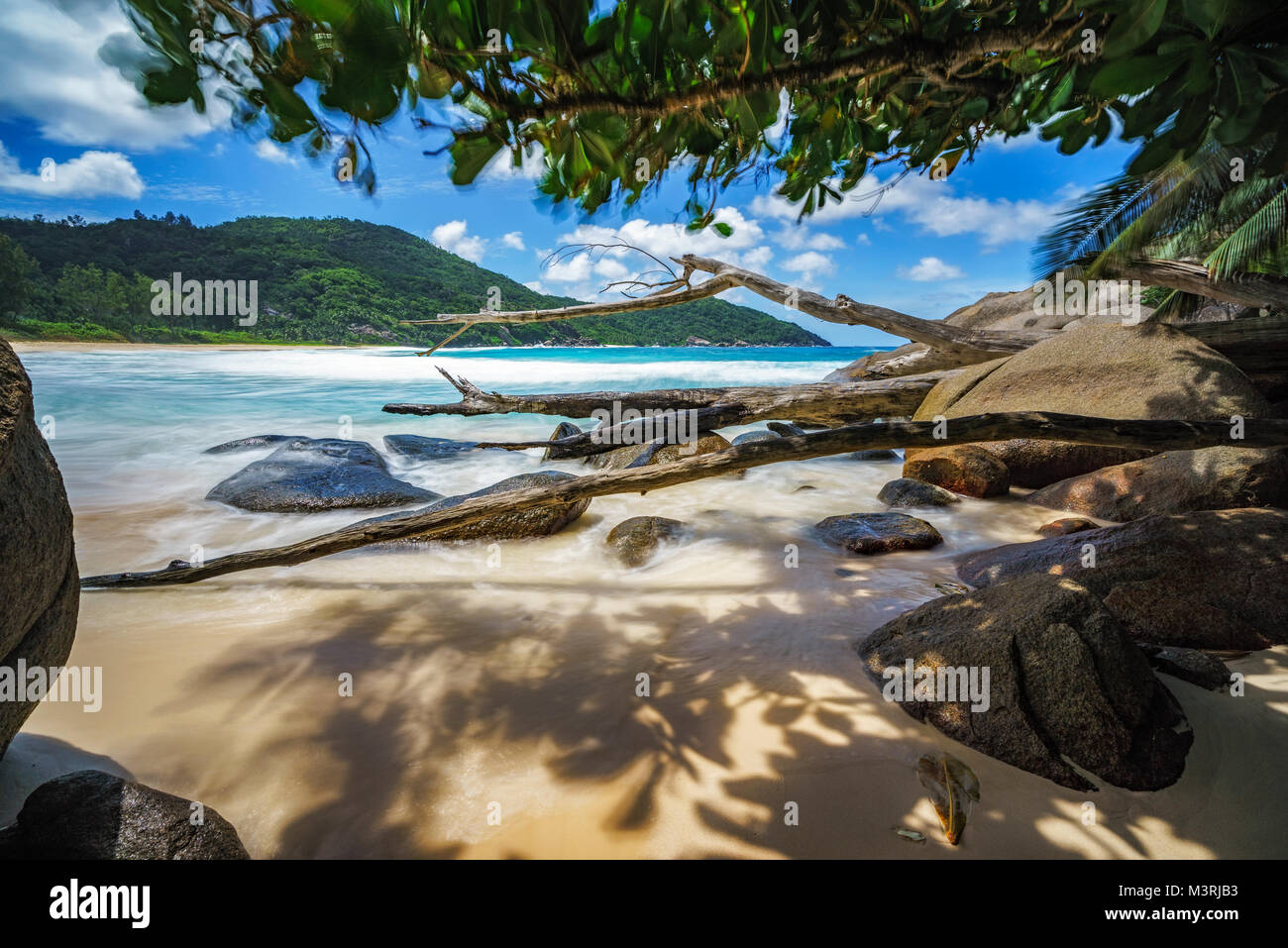 branches and big granite rocks at wild tropical beach,police bay, mahé ...