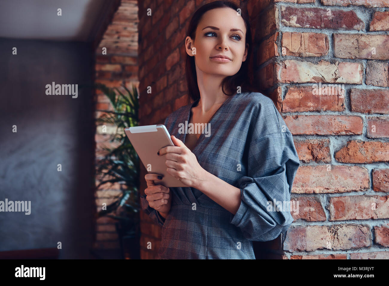 An attractive brunette woman in a room with loft interior Stock Photo ...