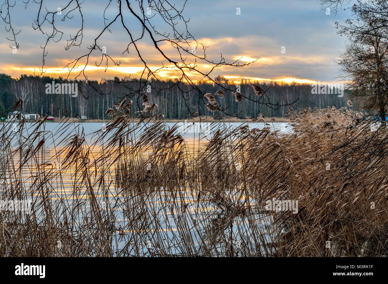 Beautiful morning landscape trees hi-res stock photography and images ...