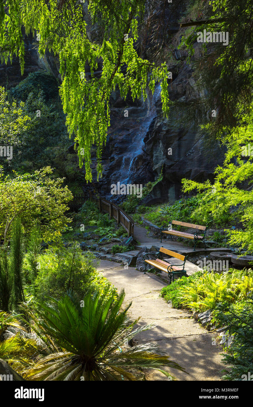 Natural park and resting bench among trees and plants with a small ...