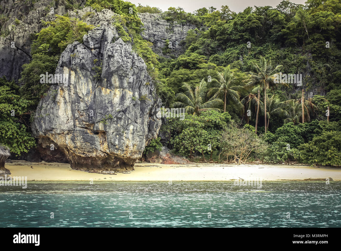 Tropical island beach landscape with cliff rock and palm trees and ...