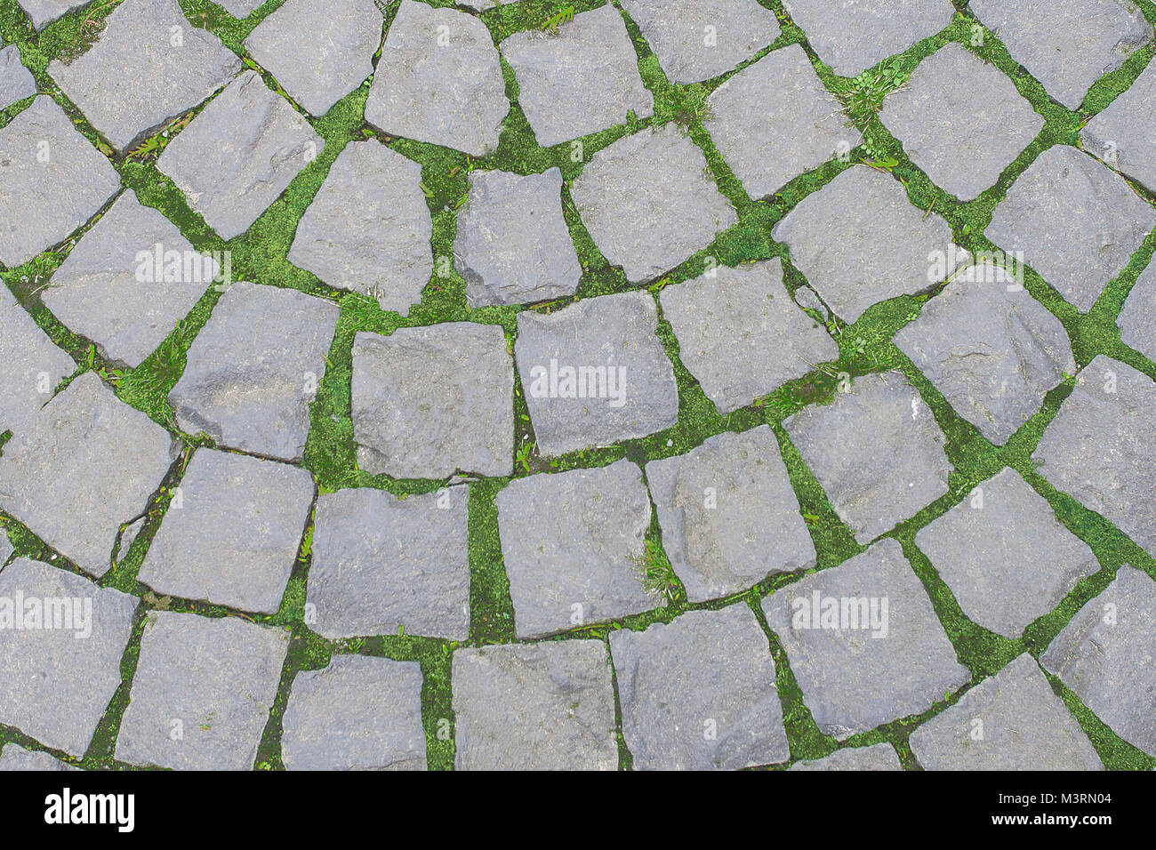 Texture of a cobblestone road, background, texture. a stone road in the ...