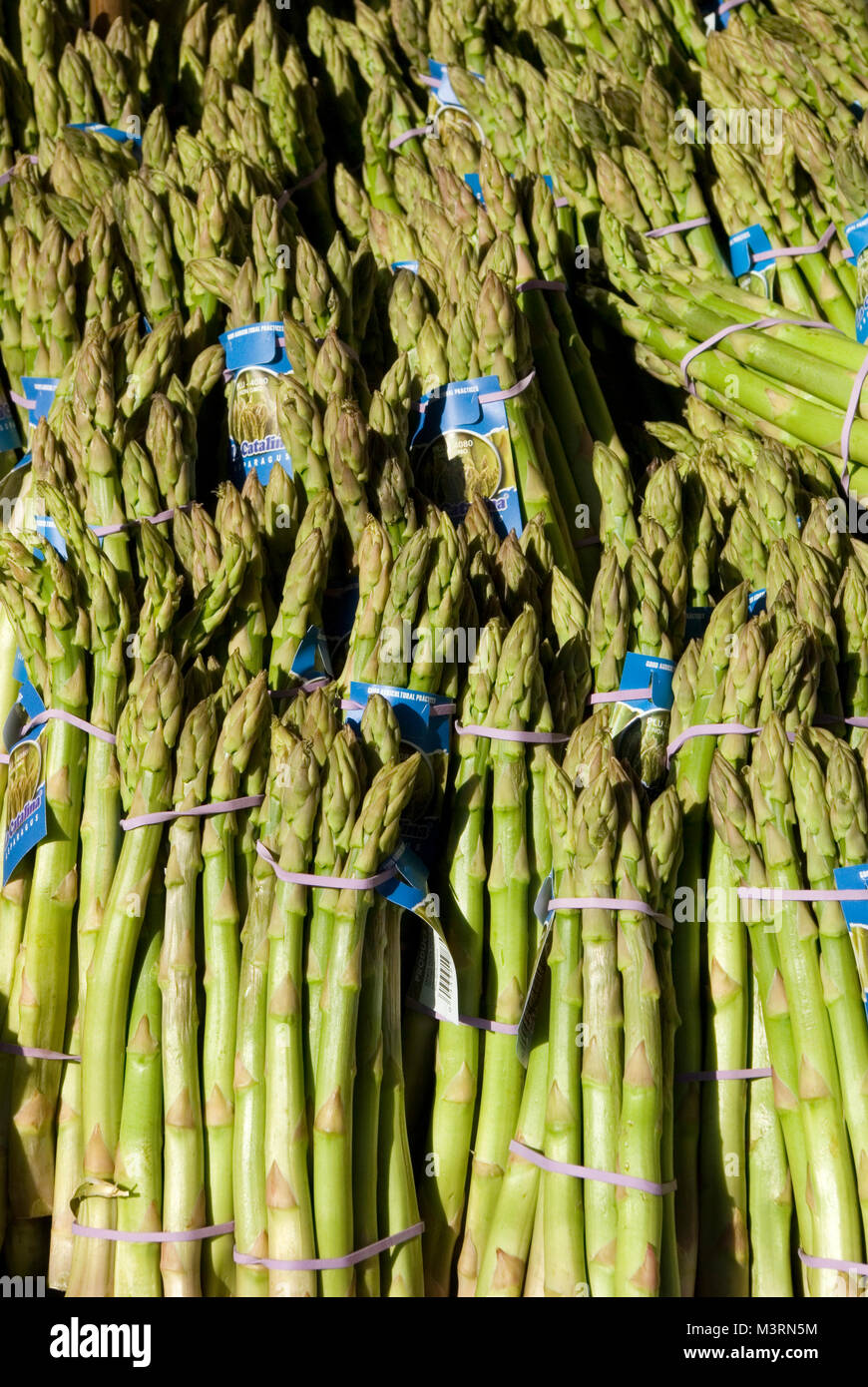 English asparagus bundle hi-res stock photography and images - Alamy