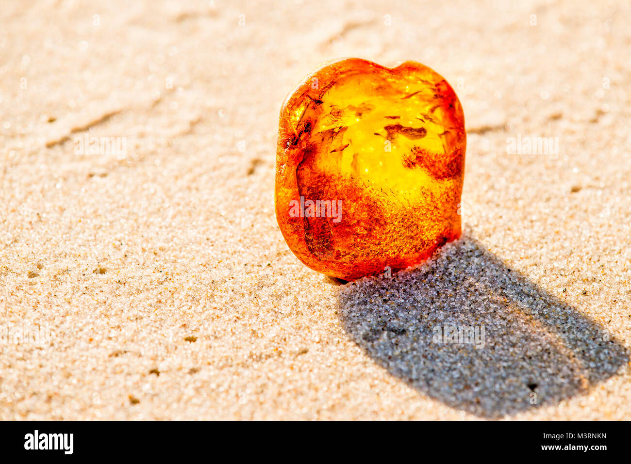 Amber on a beach of the Baltic Sea Stock Photo - Alamy