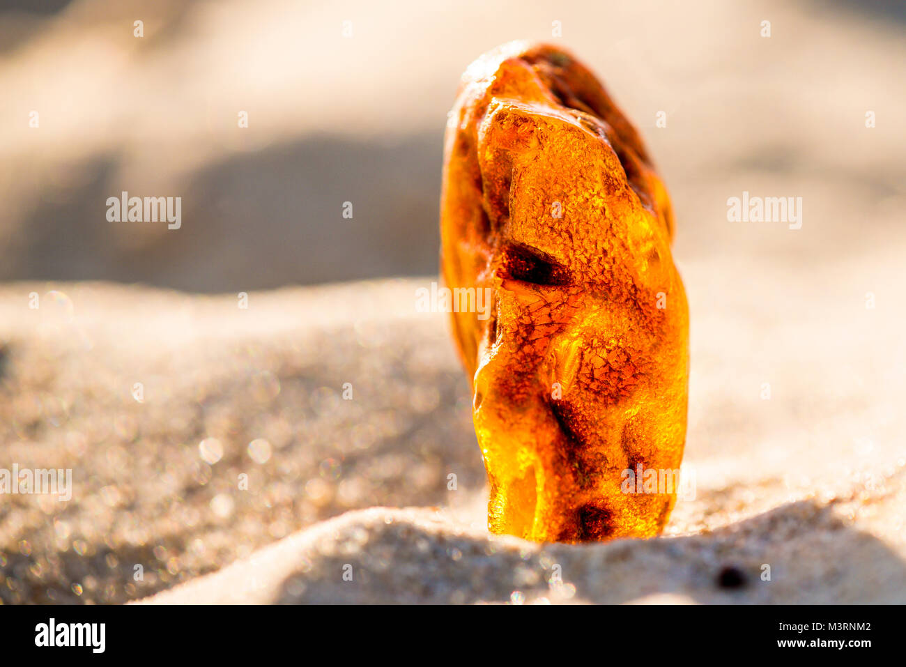Amber on a beach of the Baltic Sea Stock Photo - Alamy