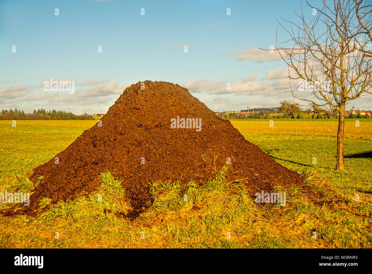 A dung hill hi-res stock photography and images - Alamy