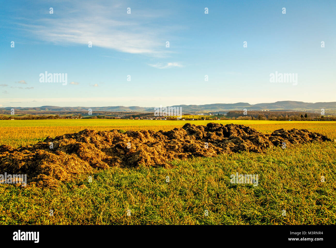 A dung hill hi-res stock photography and images - Alamy