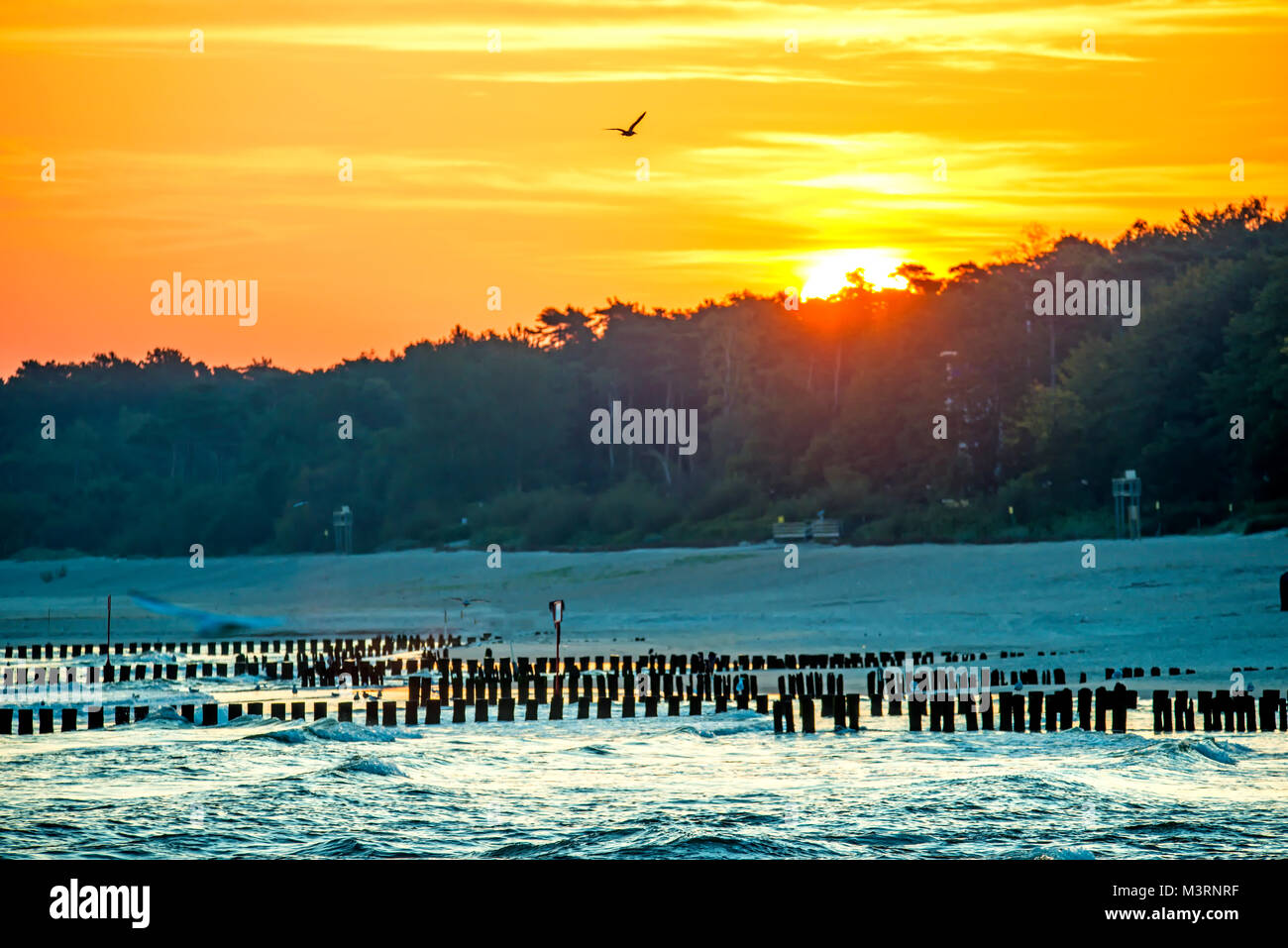 Groins in the baltic sea hi-res stock photography and images - Alamy
