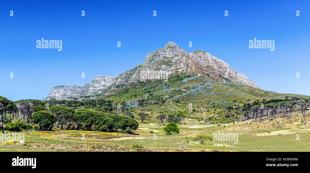 Scenery near Cape Town, South Africa. The region has some of the world ...