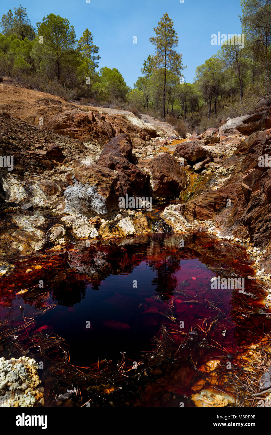 Fantastic colours of Rio Tinto close to its source. The river is famous ...