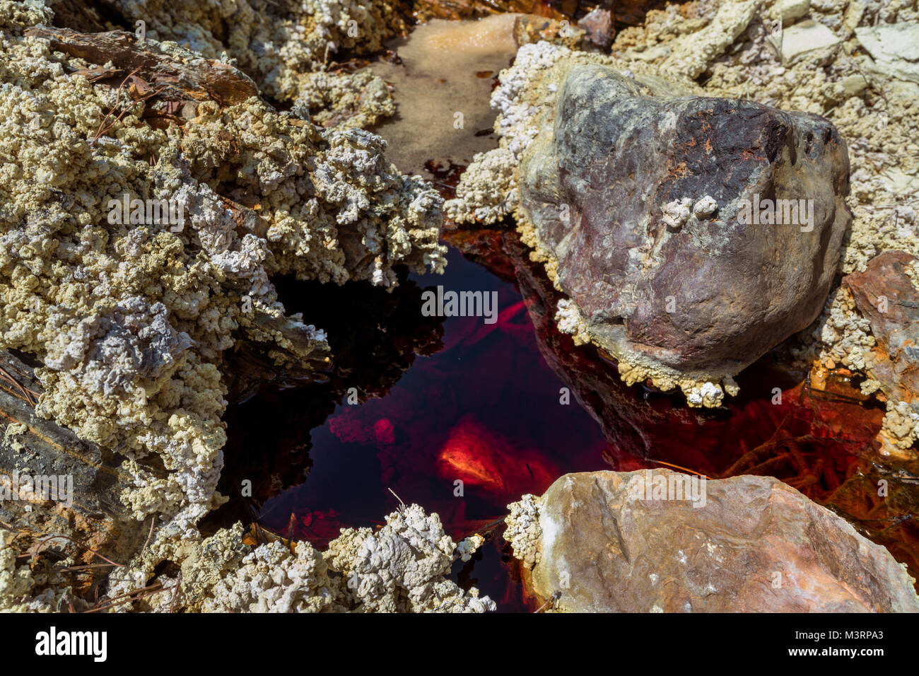 Fantastic colours of Rio Tinto. The river is famous for its deep red ...