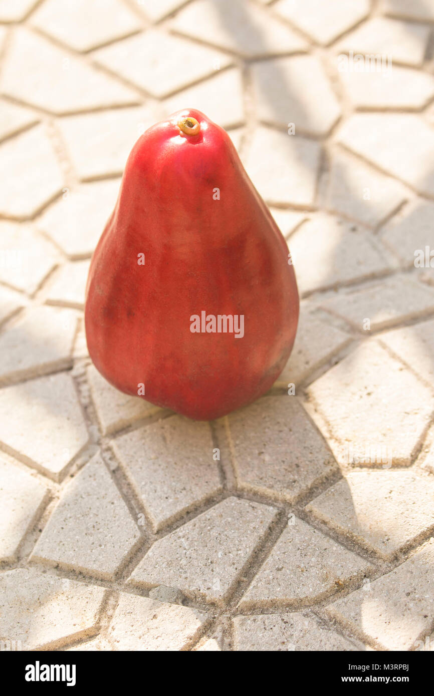 Jamaican Otaheite apple fruit still-life photograph Stock Photo - Alamy
