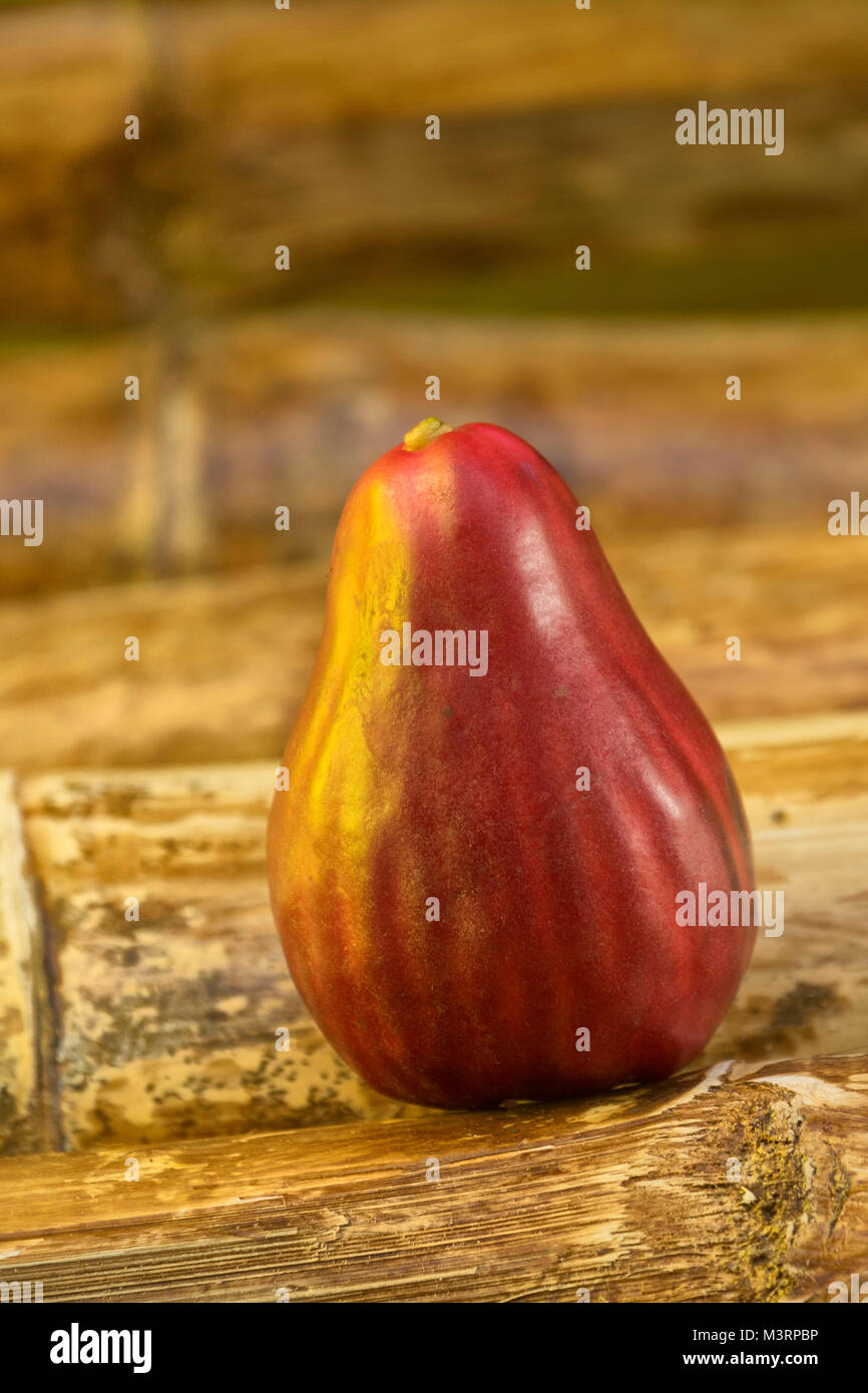 Jamaican Otaheite apple fruit still-life photograph Stock Photo - Alamy