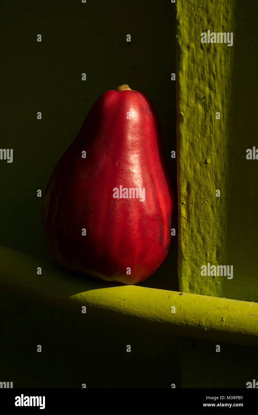 Jamaican Otaheite apple fruit still-life photograph Stock Photo - Alamy