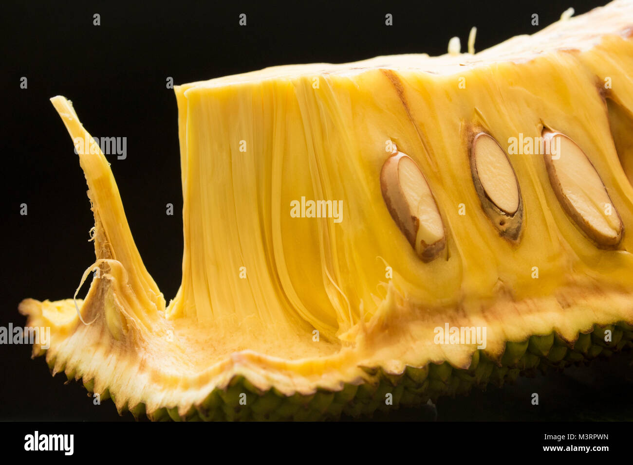 Slice of jackfruit with seeds food still-life against a plain black ...
