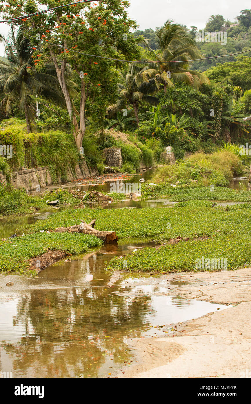 Wet meadow in the centre of Ocho Rios, Jamaica, West Indies, Caribbean ...