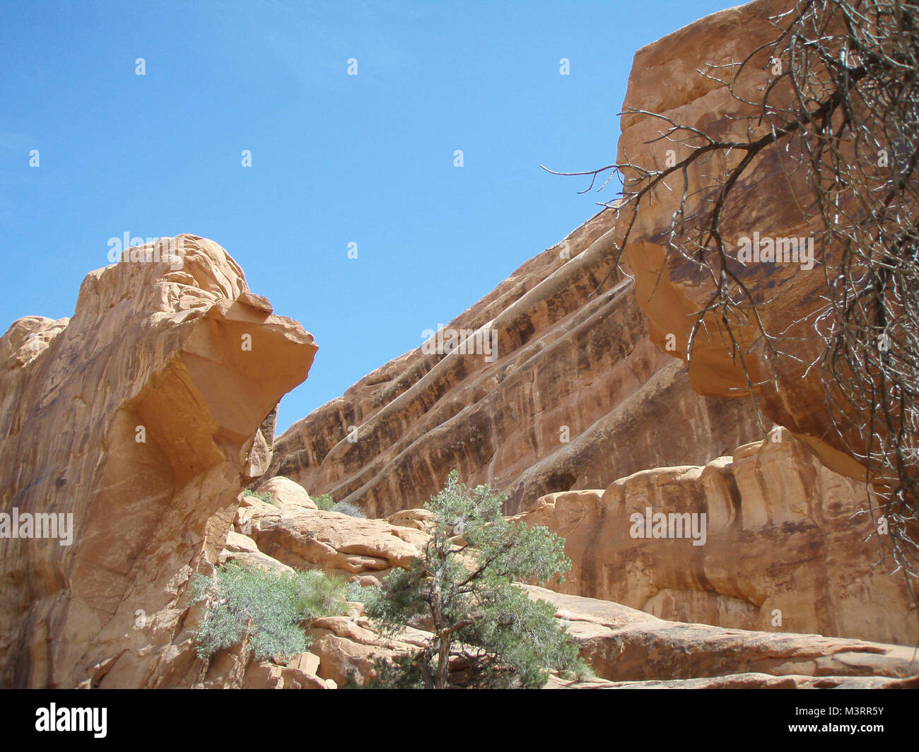 Wall Arch collapsed sometime during the night of August 4, 2008 Stock ...