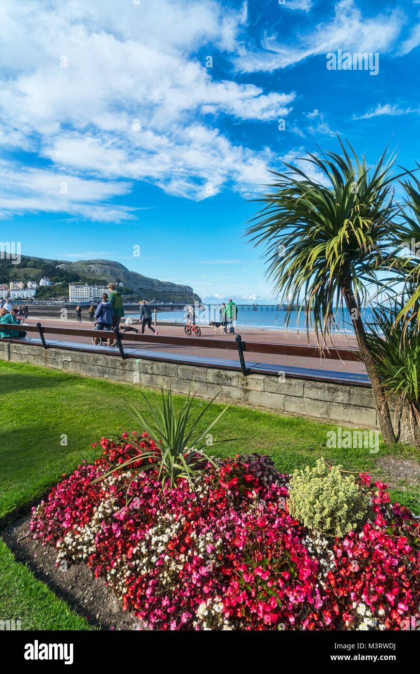LLandudno promenade gardens, looking south to Great Orm and pier ...