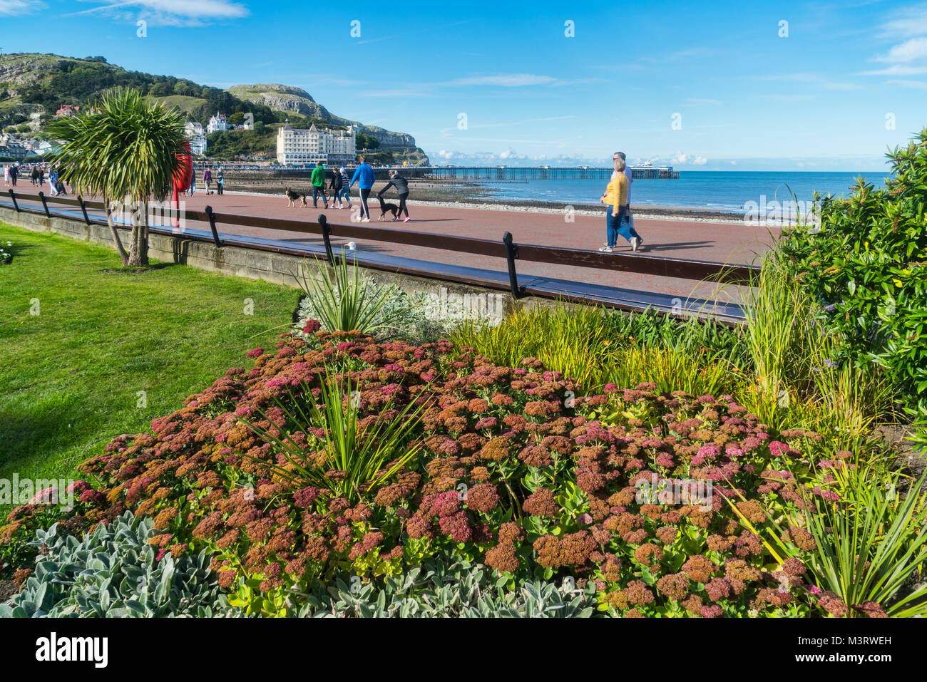 LLandudno promenade gardens, looking south to Great Orm and pier ...
