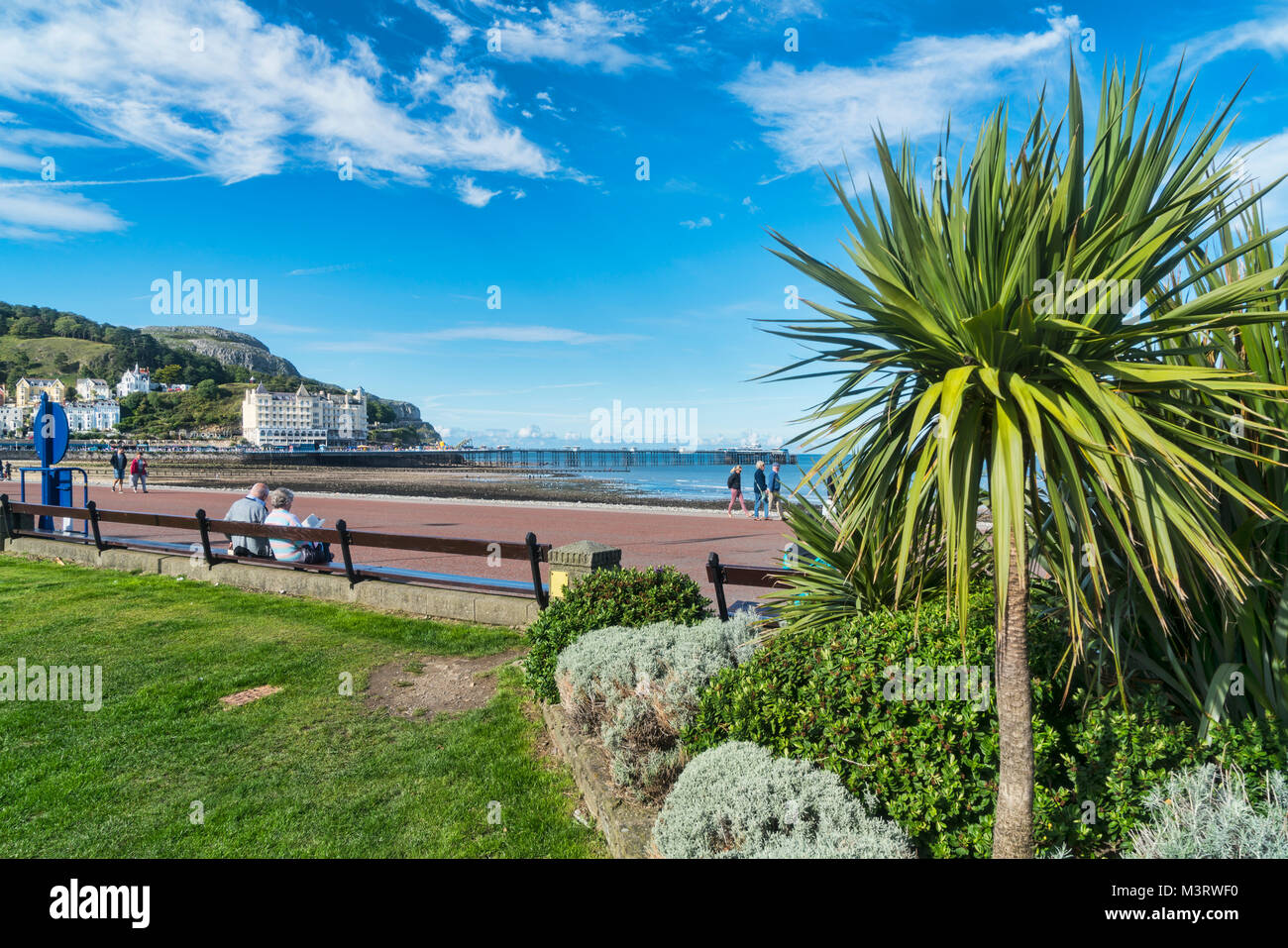 LLandudno promenade gardens, looking south to Great Orm and pier ...