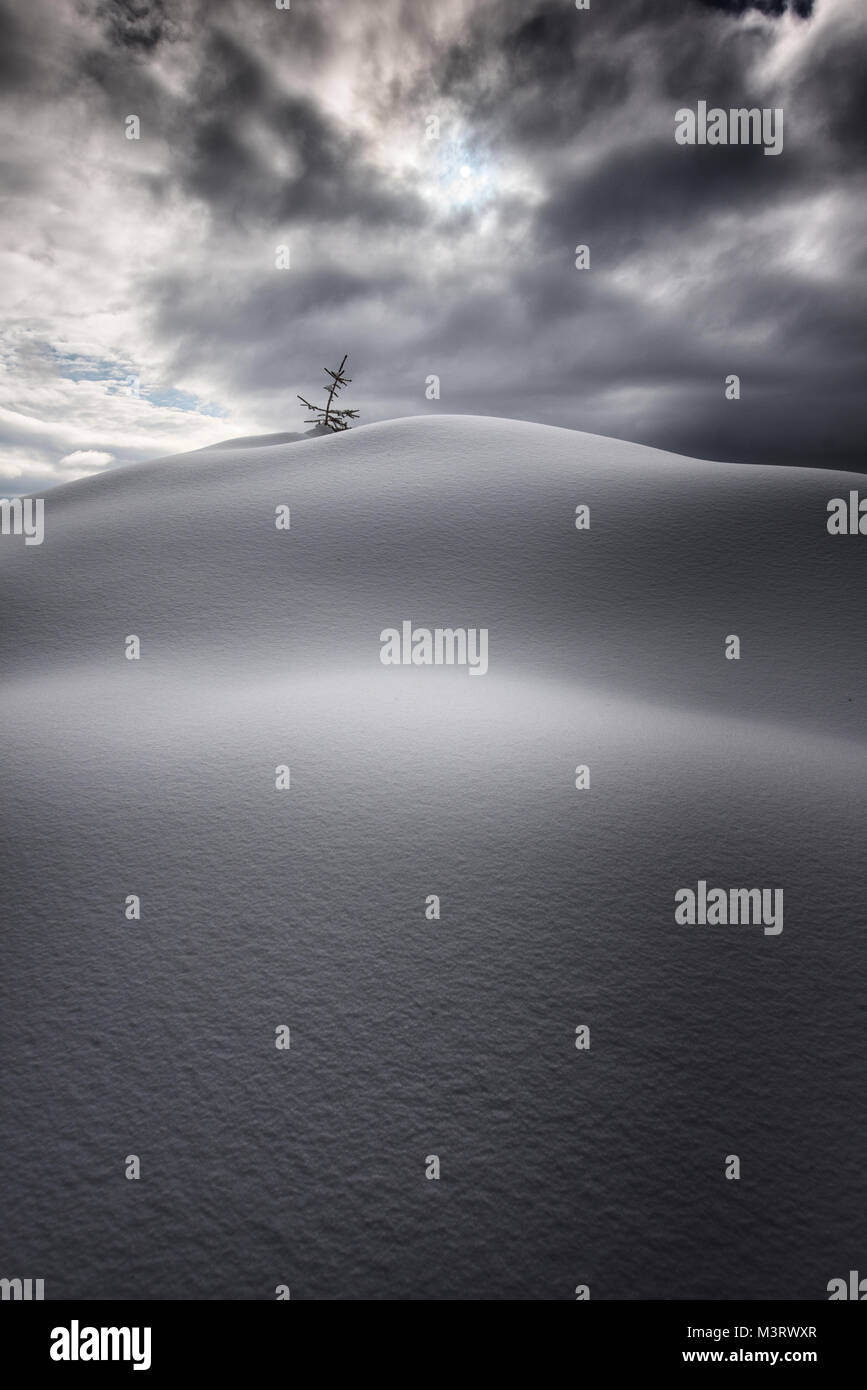 Half drowned hi-res stock photography and images - Alamy