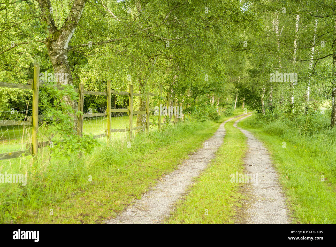 idyllic field path at spring time in Southern Germany Stock Photo - Alamy