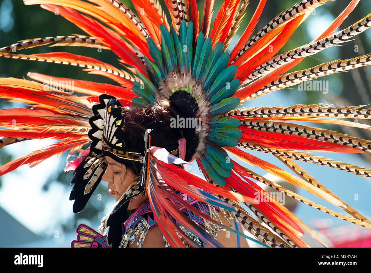 An Aztec heritage dancer wears traditional regalia for a performance ...