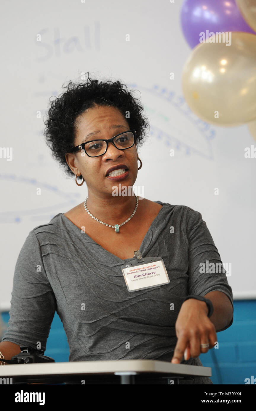 Ms. Kim Cherry, Deputy Chief for STEM, Office of the Chancellor ...