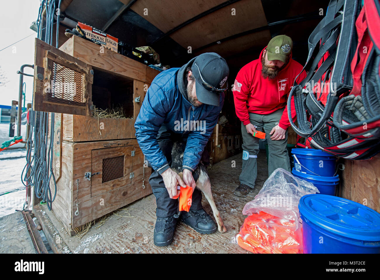 Iditarod musher Rick Casillo, left, and Matt Berth put booties on a ...