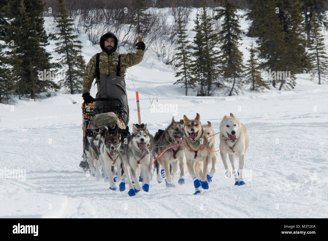 Musher Rick Casillo and the Battle Dawgs team arrive at Rainy Pass ...