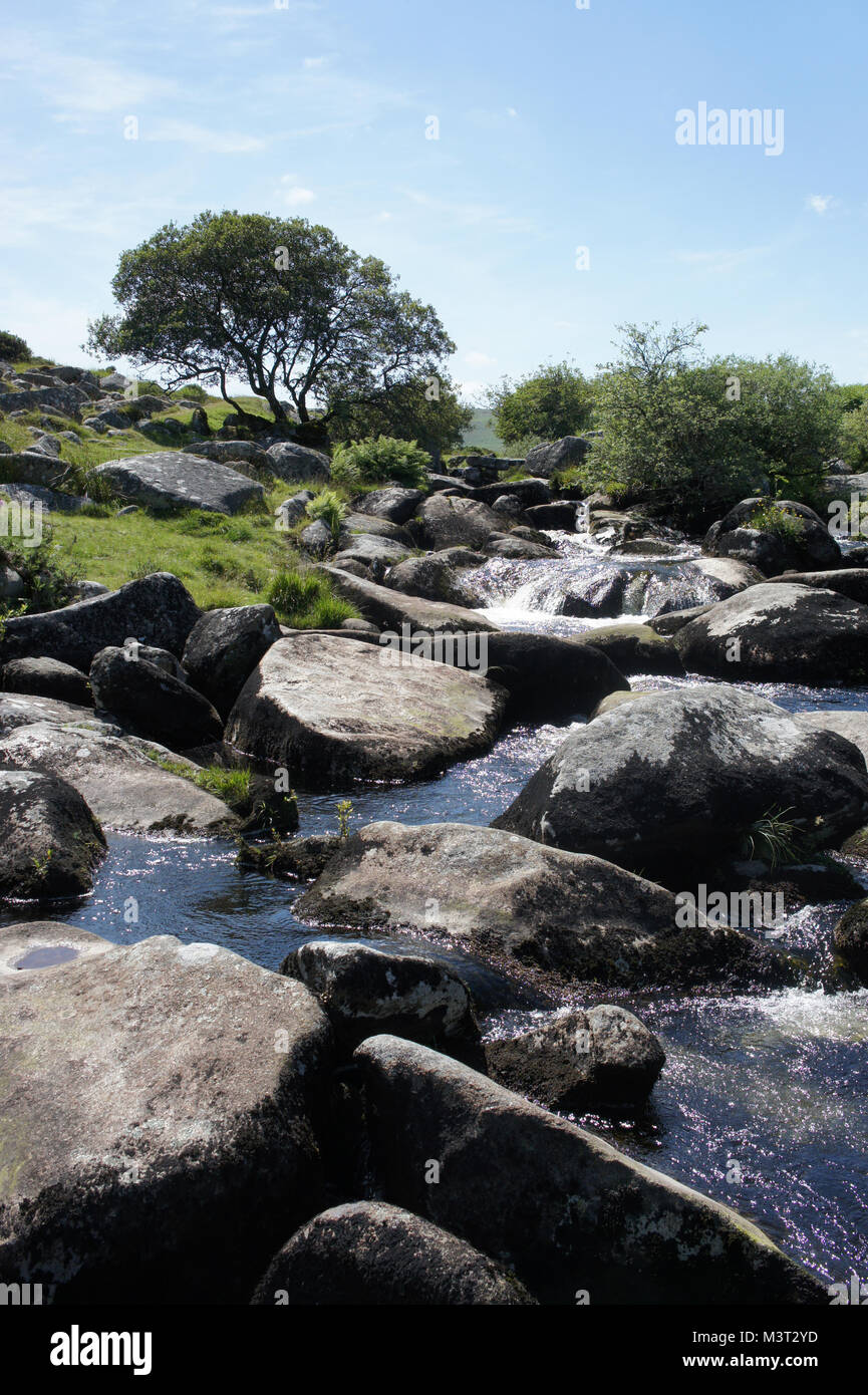 River Teign on Dartmoor near Teign-e-ver clapper bridge Stock Photo - Alamy