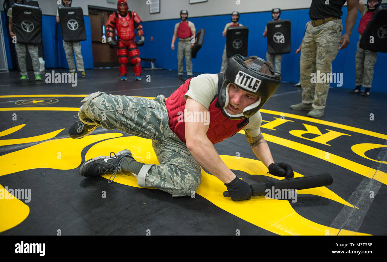 Airman 1st Class Kyle Wade, 87th Security Forces Squadron, patrolman ...