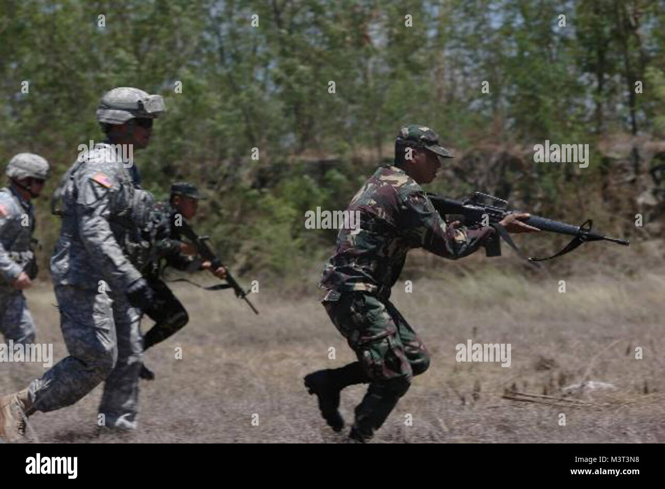 The bounding over watch hi-res stock photography and images - Alamy