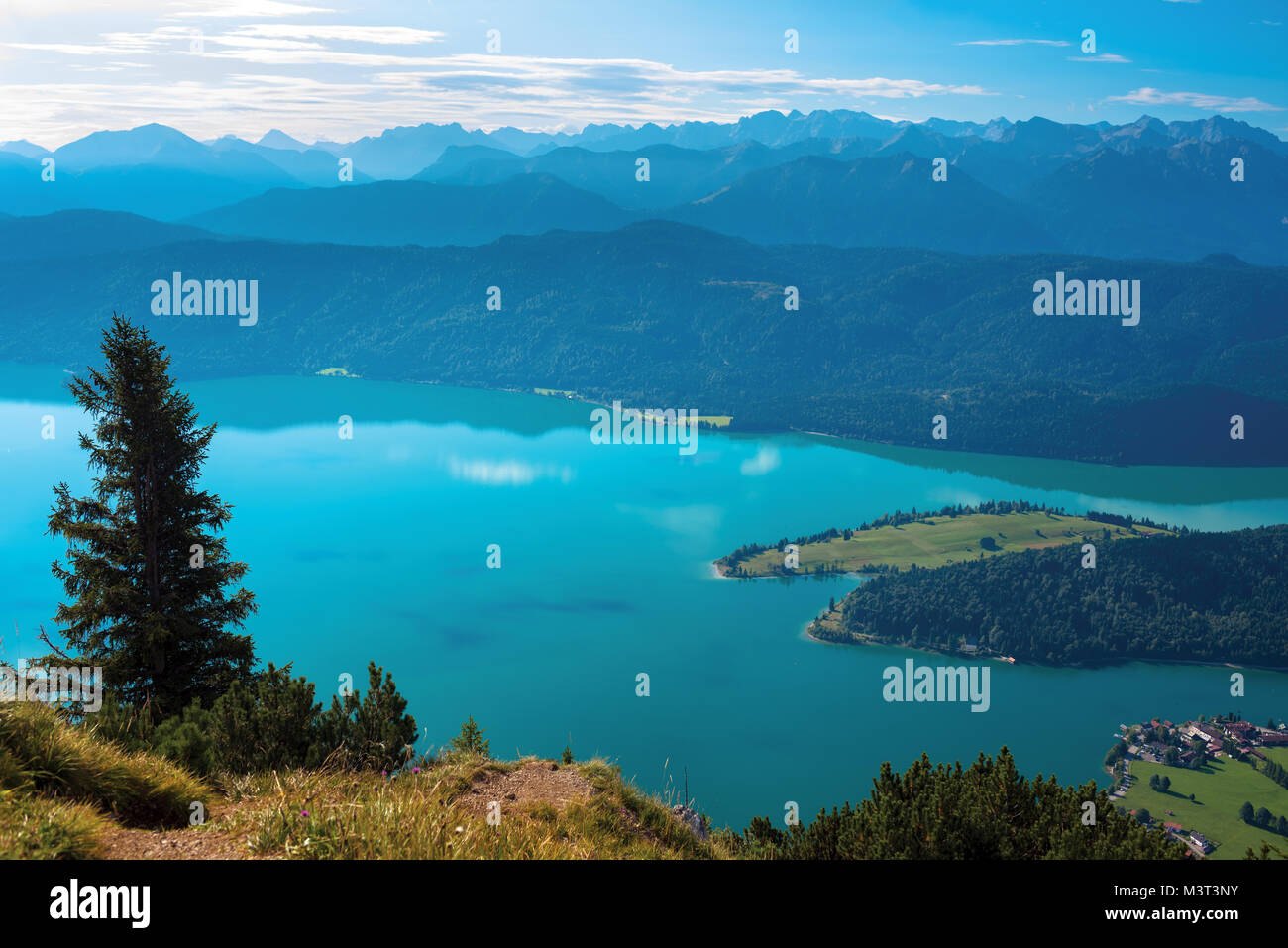 Turquoise Walchensee lake, mountains, single fir tree Stock Photo - Alamy