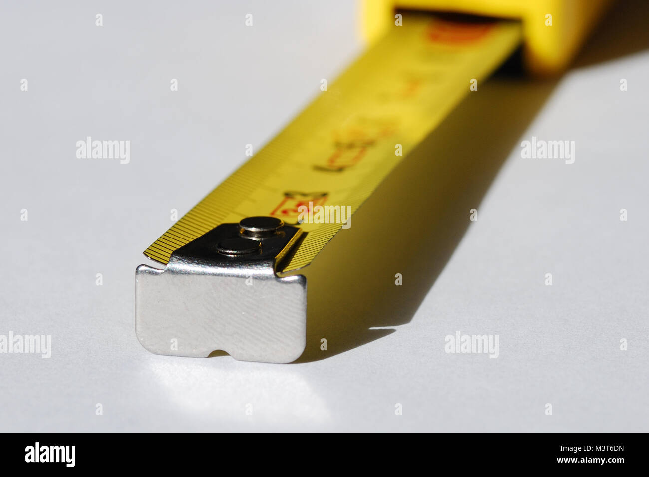 great view of a yellow SCALE beginning Stock Photo - Alamy