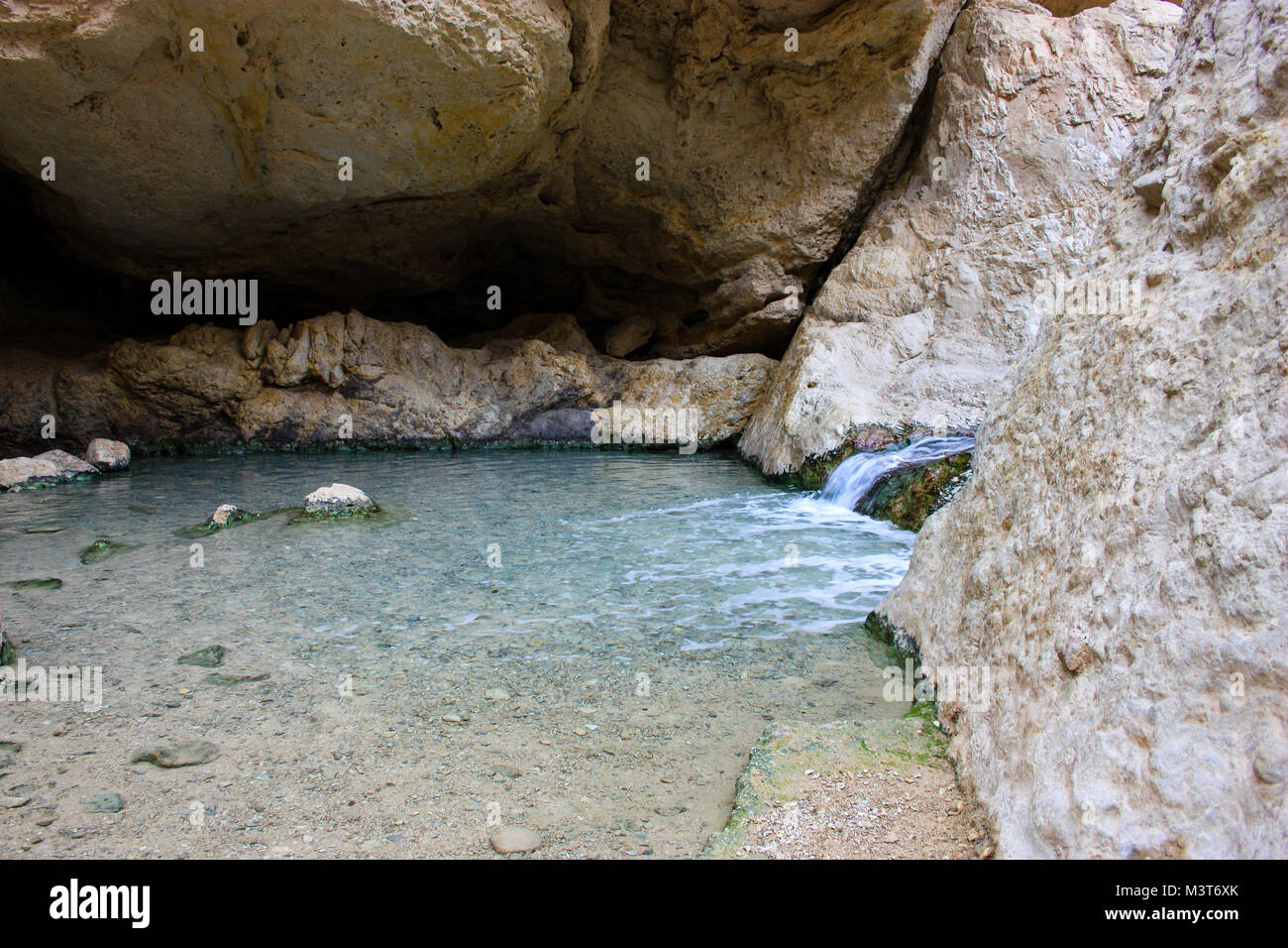 Nature in the Wadi Bokek reserve of the Judean desert in Israel Stock Photo - Alamy