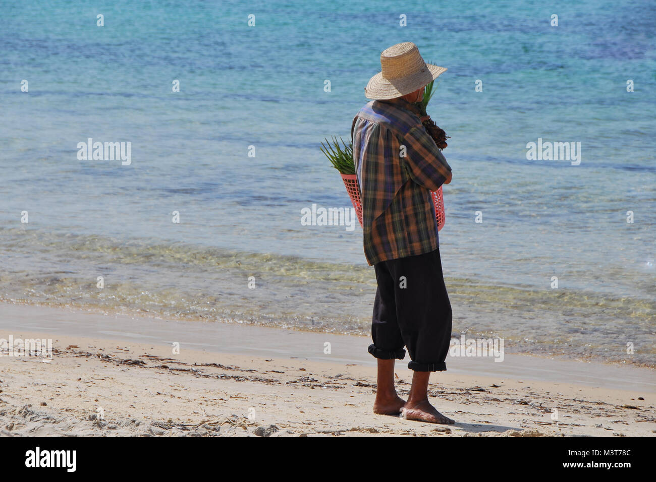 man sells palm trees on beach Stock Photo - Alamy