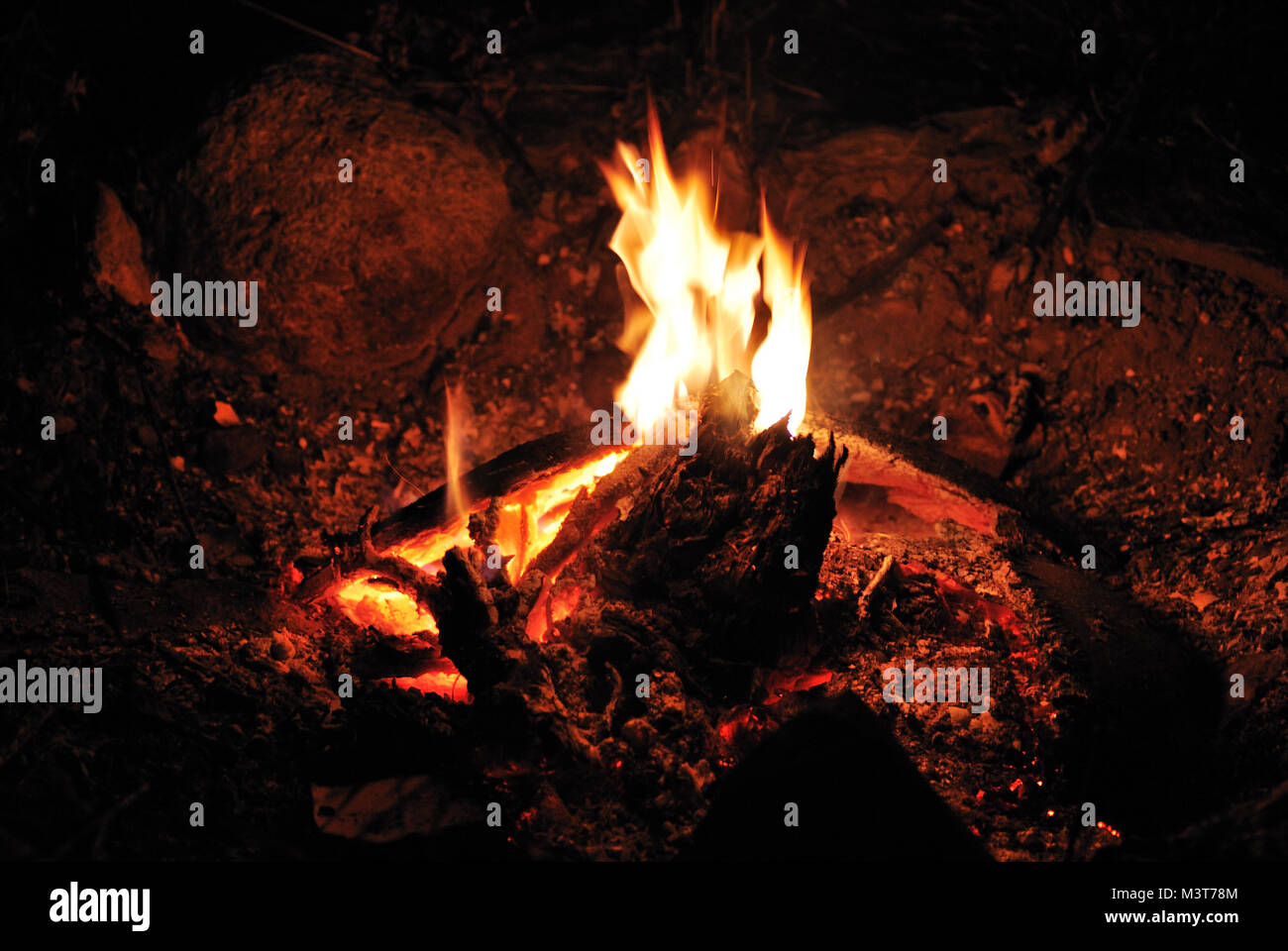 nice warm campfire when camping in the open Stock Photo - Alamy