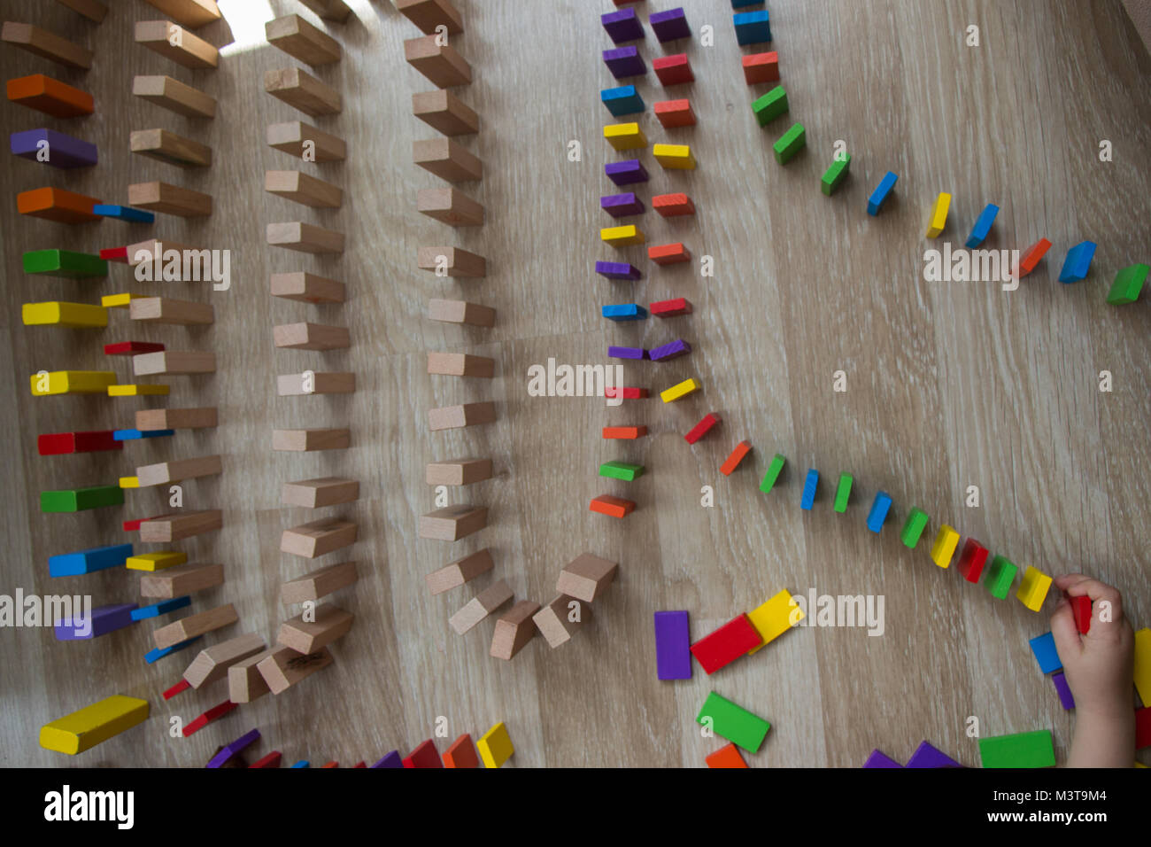 Colorful Domino Blocks in a line on a white background Stock Photo - Alamy